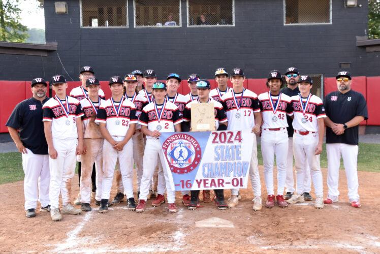 West End 15-16s win Babe Ruth state title; advance to Mid-Atlantic ...